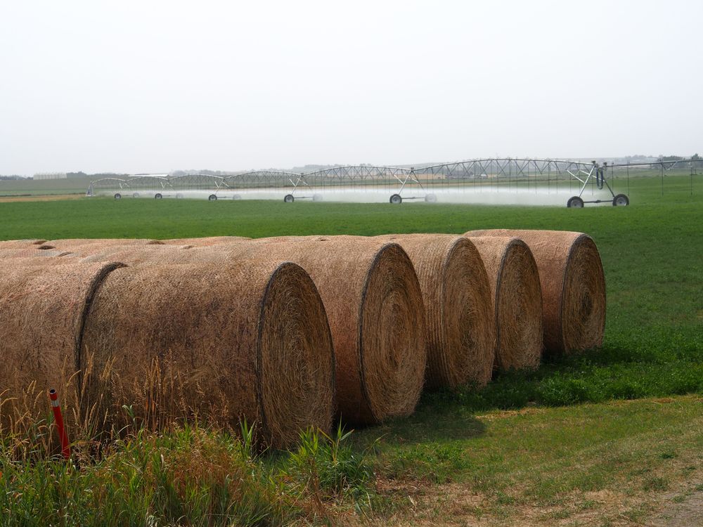 Home | Lethbridge Northern Irrigation District