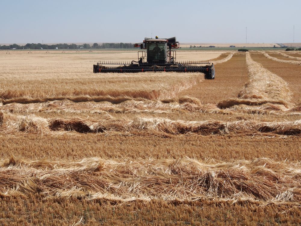 Home | Lethbridge Northern Irrigation District