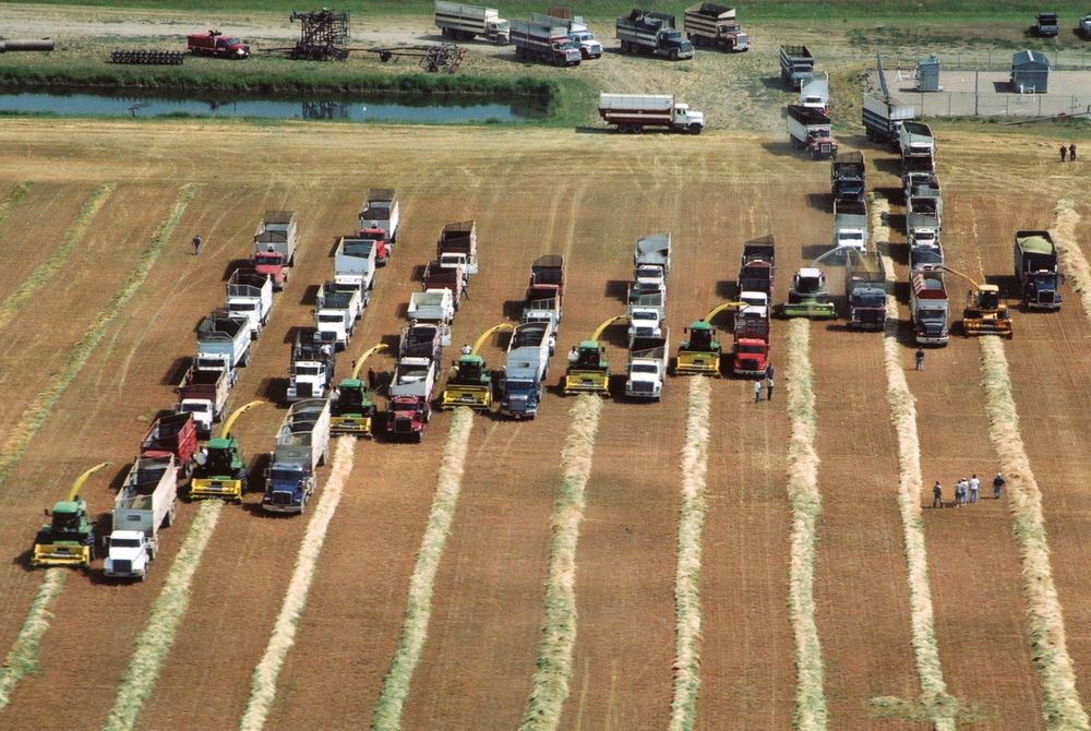 Home | Lethbridge Northern Irrigation District