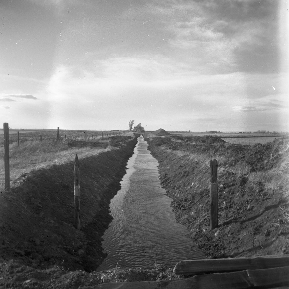 Home | Lethbridge Northern Irrigation District