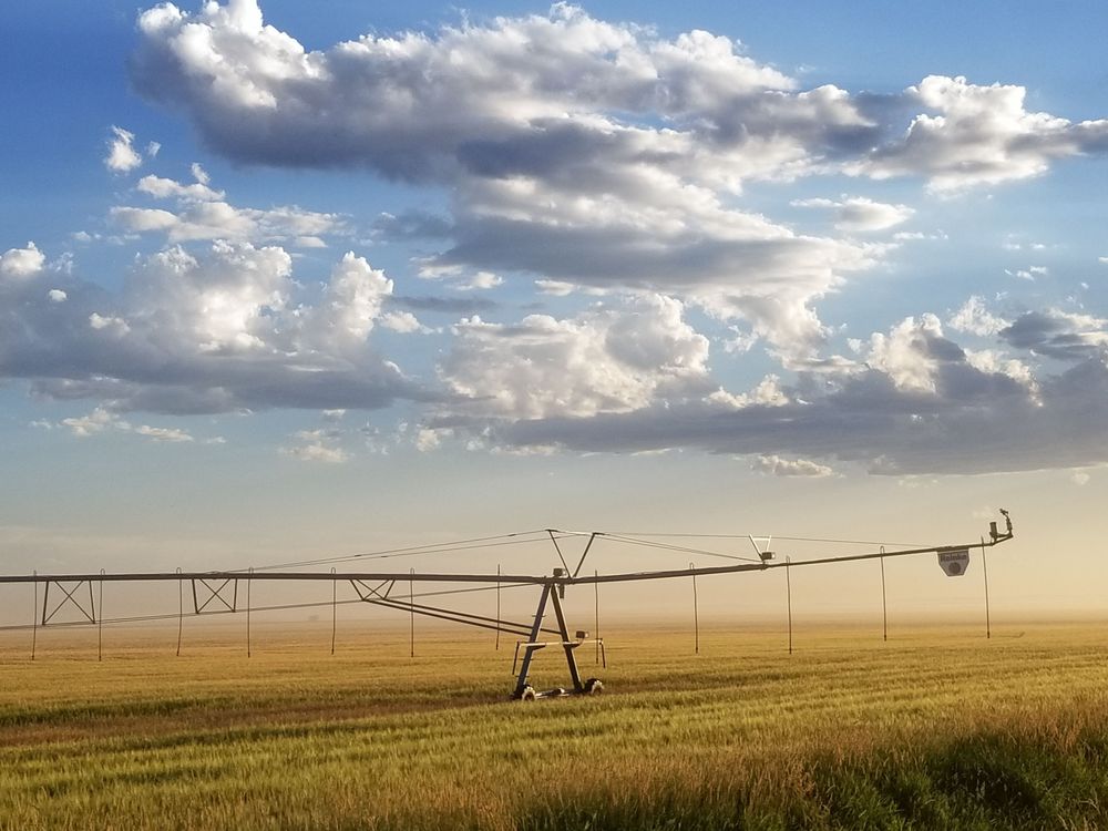 Home | Lethbridge Northern Irrigation District