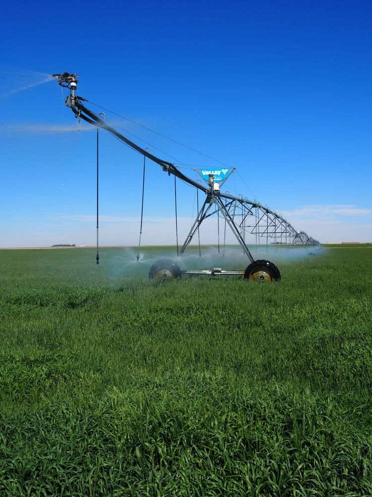 Home | Lethbridge Northern Irrigation District