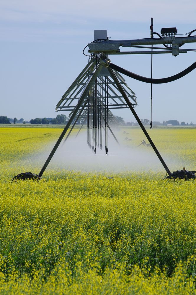 Home | Lethbridge Northern Irrigation District