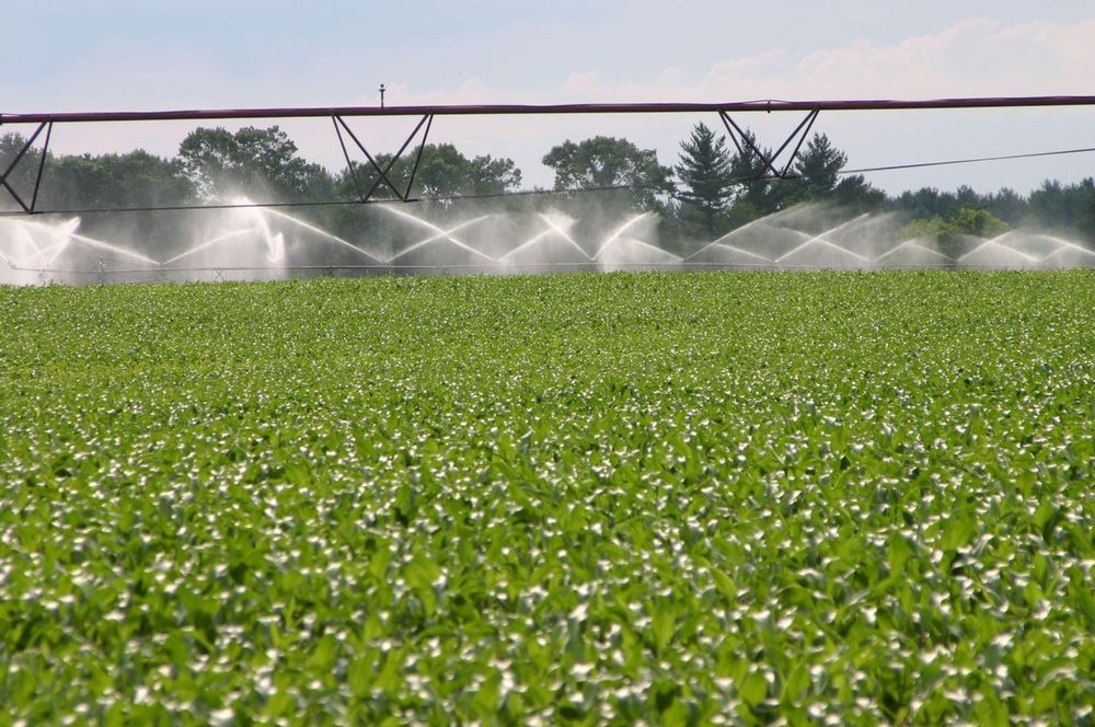 Home | Lethbridge Northern Irrigation District