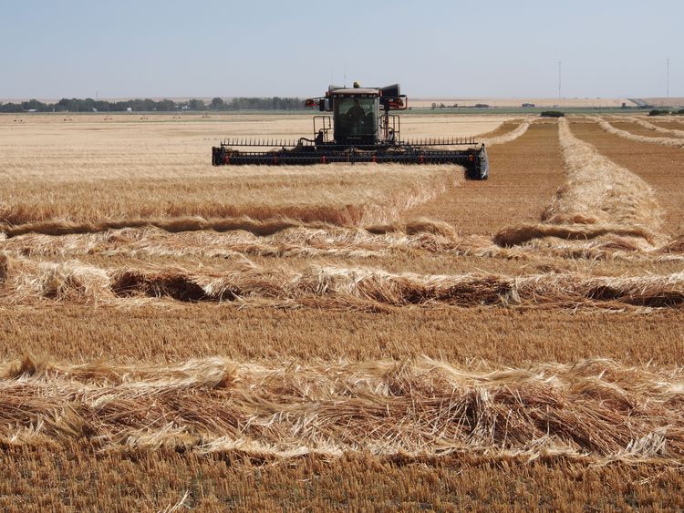 Home | Lethbridge Northern Irrigation District