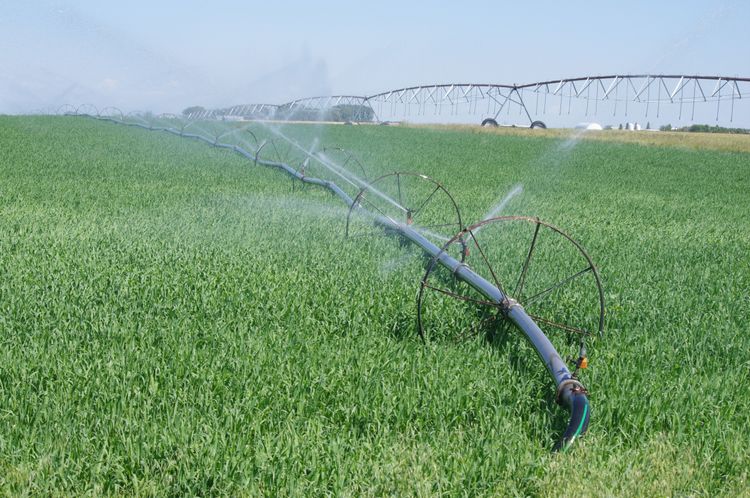 Home | Lethbridge Northern Irrigation District