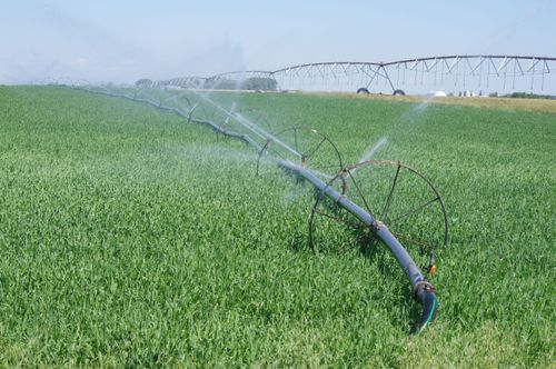 Home | Lethbridge Northern Irrigation District